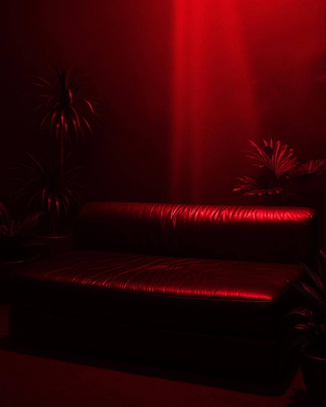 Experiência Red - Anda Direito